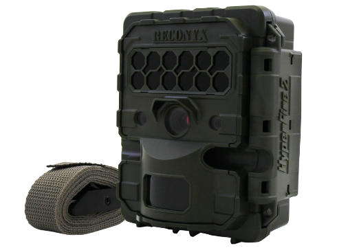 6 Best Trail Cameras For Security - MarksmanOptics